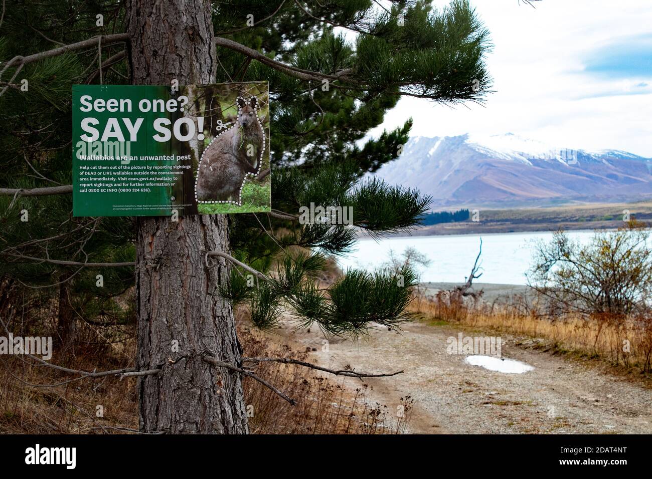 Eins zwei drei vier fünf sechs -Fotos und -Bildmaterial in hoher ...