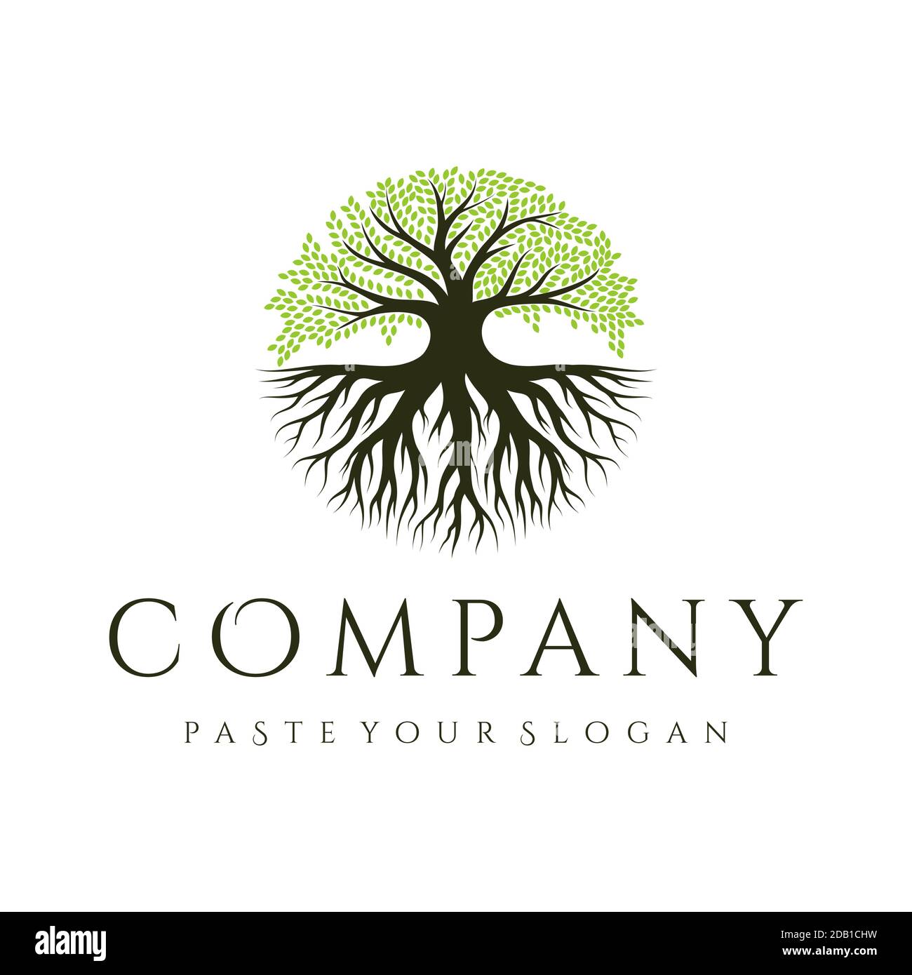 Eichenbaum Logo Design, Baum und Wurzel Vektor. Baum des Lebens Logo ...