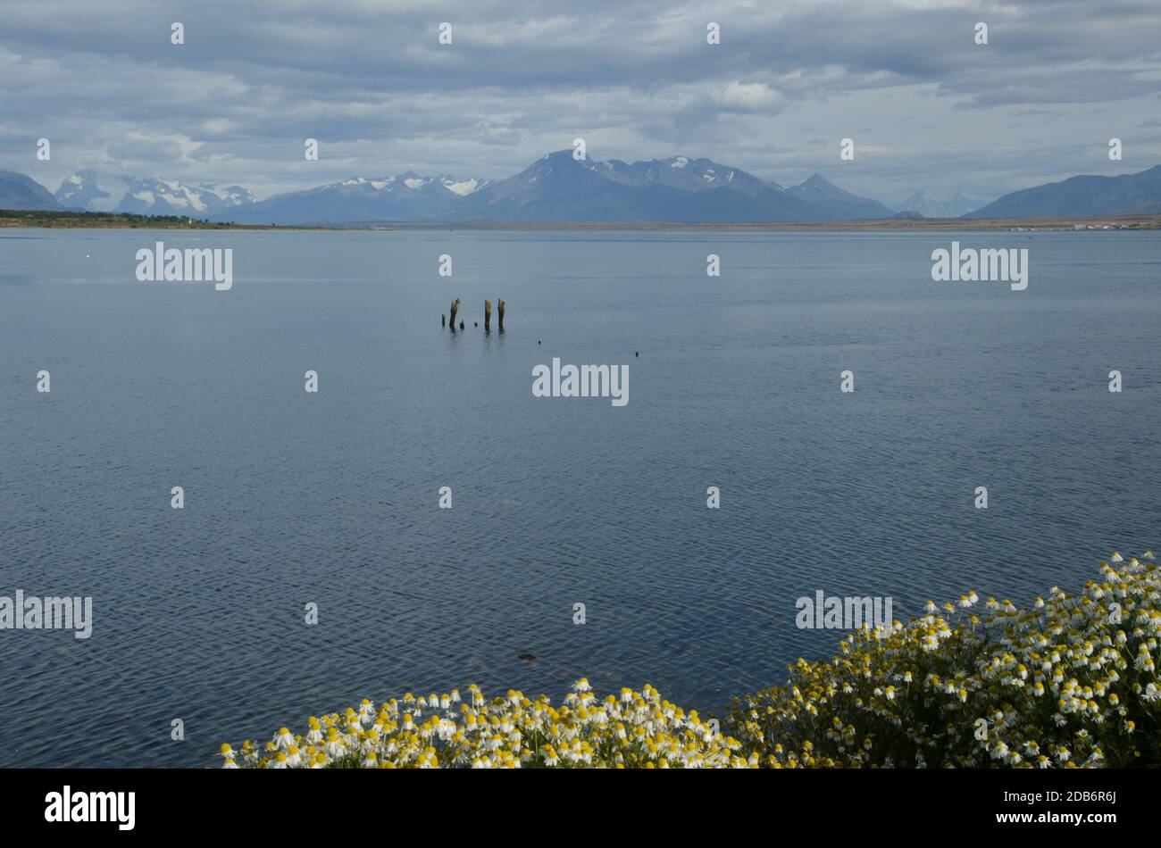 Esperanza inlet -Fotos und -Bildmaterial in hoher Auflösung – Alamy
