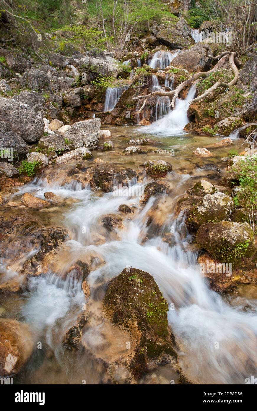 Nacimiento del río mundo -Fotos und -Bildmaterial in hoher Auflösung ...