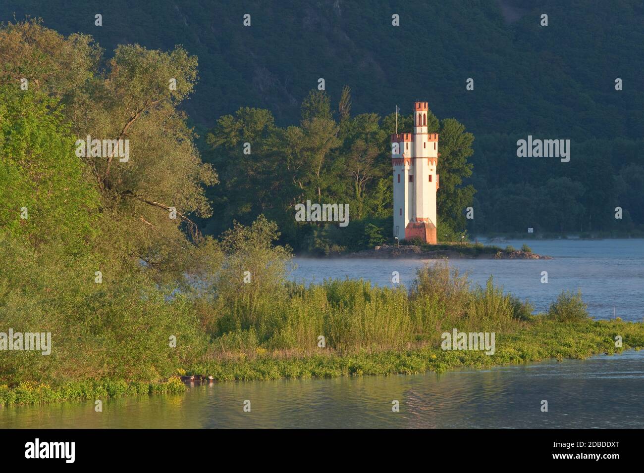 The binger maeuseturm tower -Fotos und -Bildmaterial in hoher Auflösung – Alamy