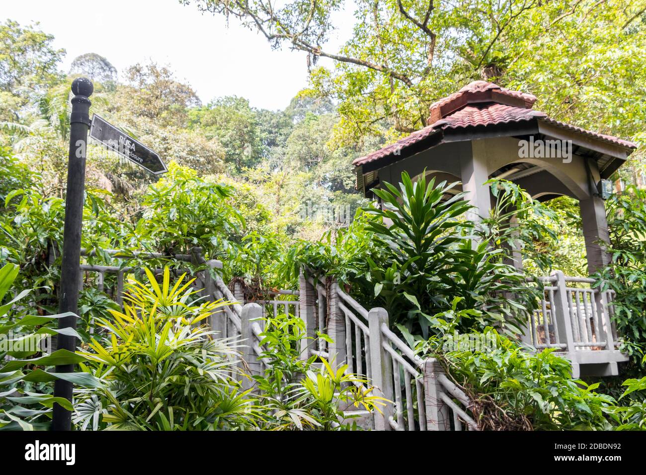 Taman rusa -Fotos und -Bildmaterial in hoher Auflösung – Alamy