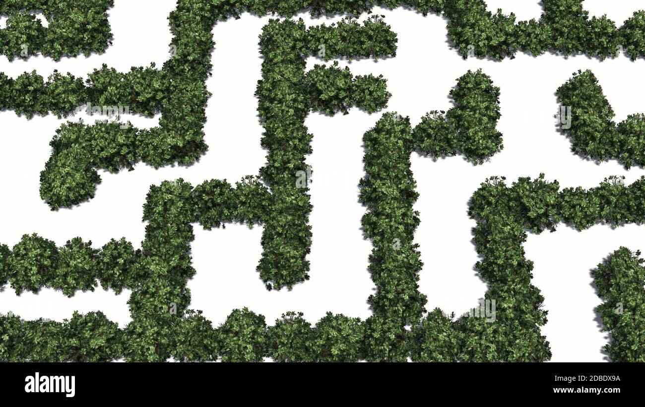 Buchsbaum strauch -Fotos und -Bildmaterial in hoher Auflösung – Alamy