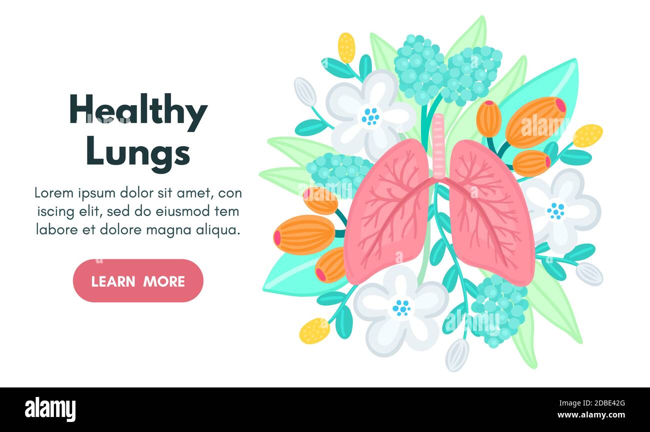 Vektor gesunde Lungen auf Blumen. Hintergrund für Label, Werbung für ...