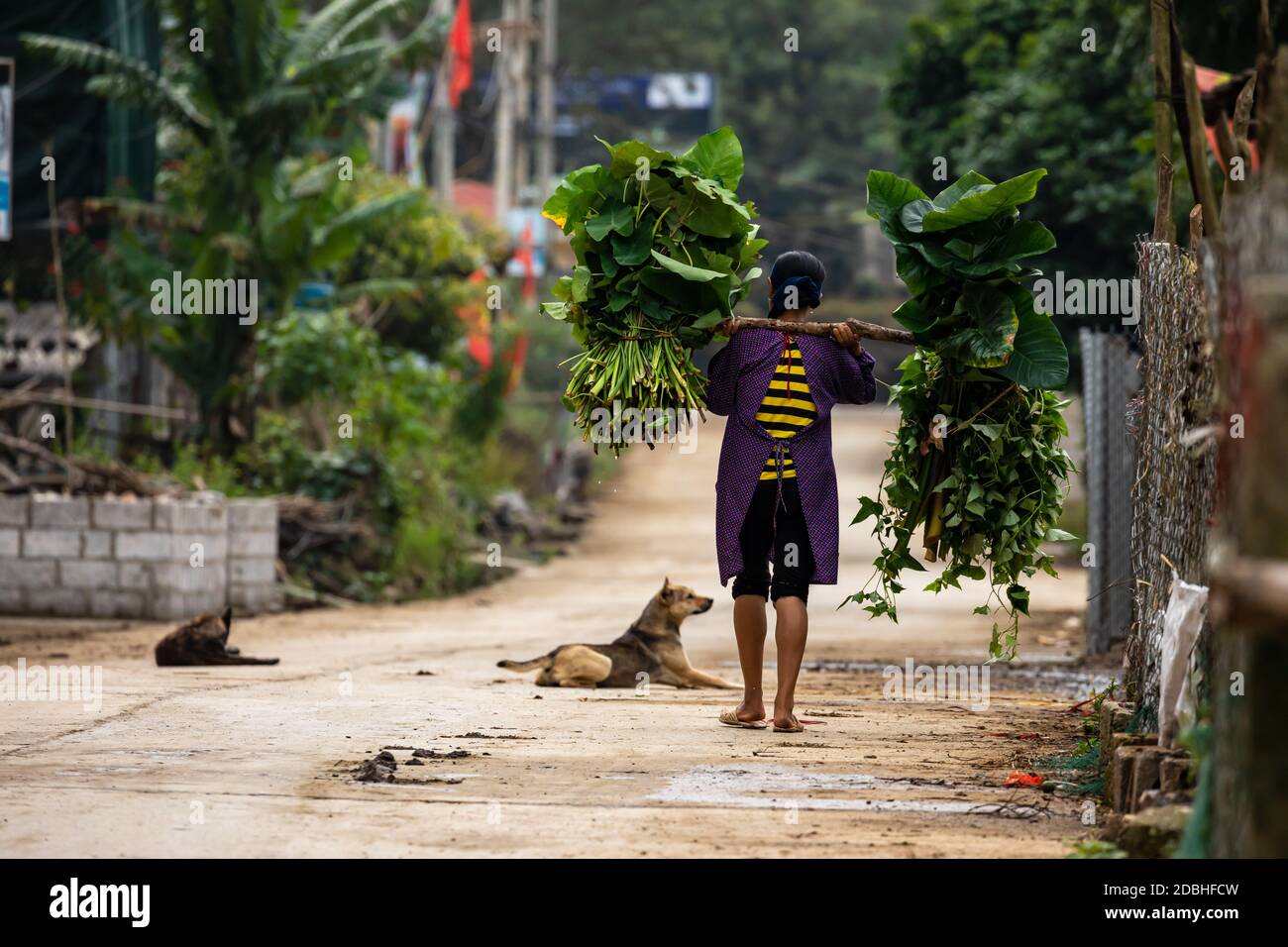 Armut menschen -Fotos und -Bildmaterial in hoher Auflösung – Alamy