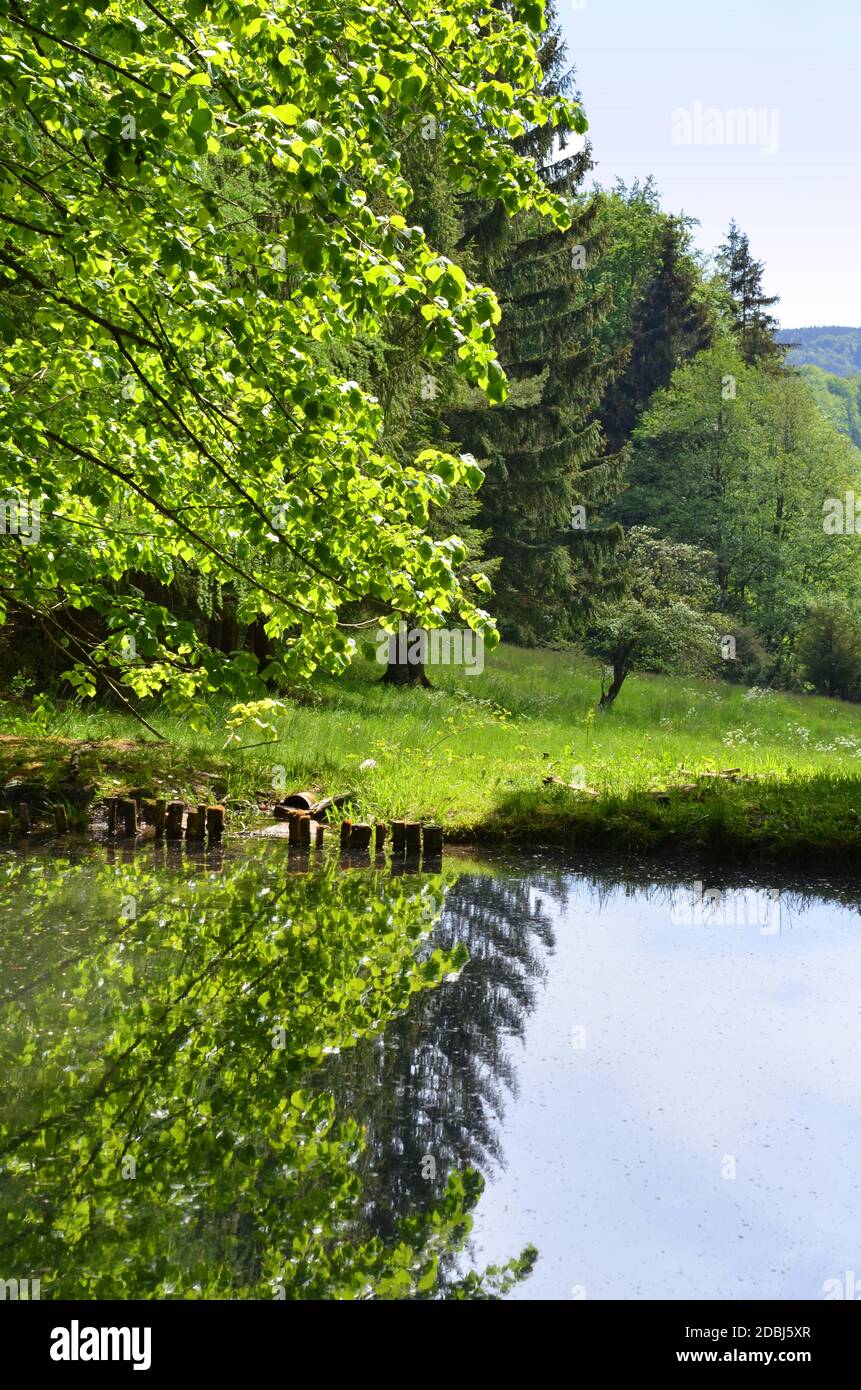 Laufen im teich -Fotos und -Bildmaterial in hoher Auflösung – Alamy