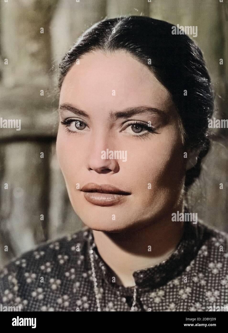 Karmin gallone -Fotos und -Bildmaterial in hoher Auflösung – Alamy