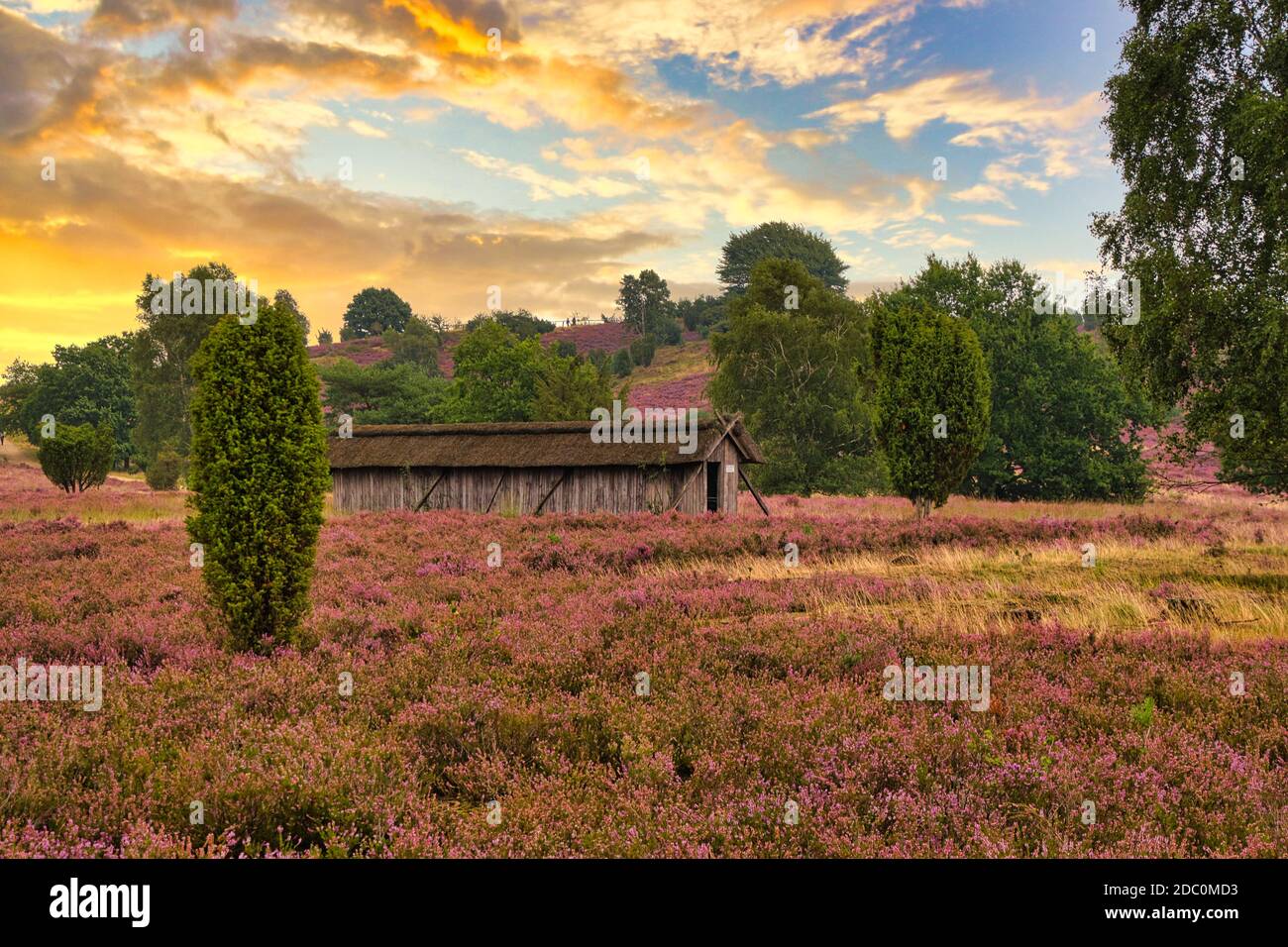 Heideka nigin -Fotos und -Bildmaterial in hoher Auflösung – Alamy