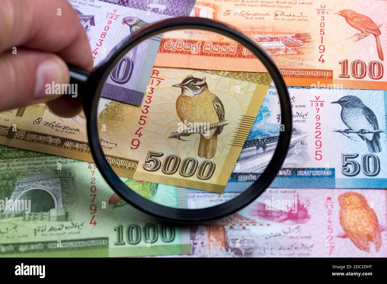 Rupie hintergrund -Fotos und -Bildmaterial in hoher Auflösung – Alamy