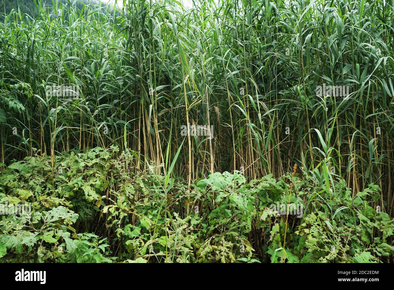 Die tiroler alpen -Fotos und -Bildmaterial in hoher Auflösung – Alamy