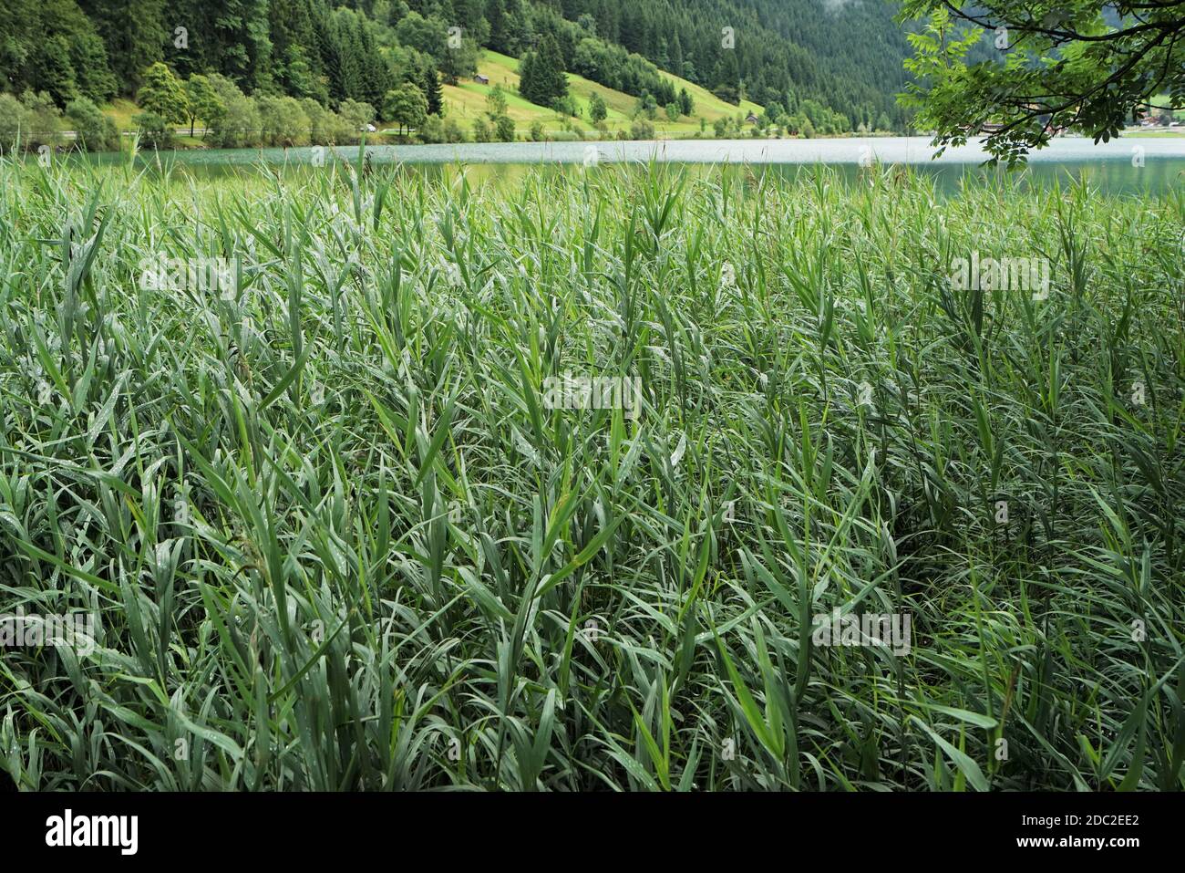 Tiroler alpen -Fotos und -Bildmaterial in hoher Auflösung – Alamy