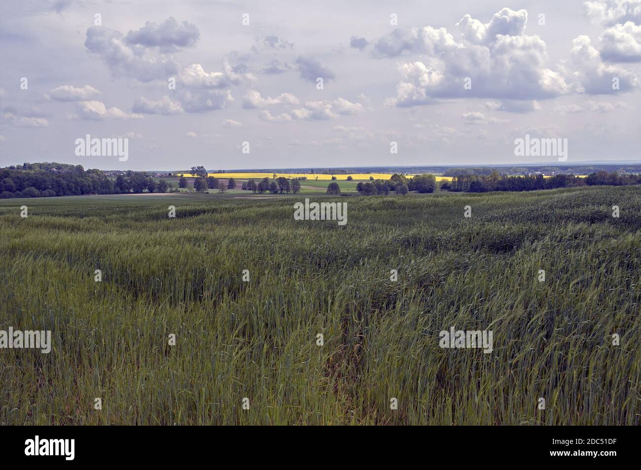 Wellige getreidefelder -Fotos und -Bildmaterial in hoher Auflösung – Alamy