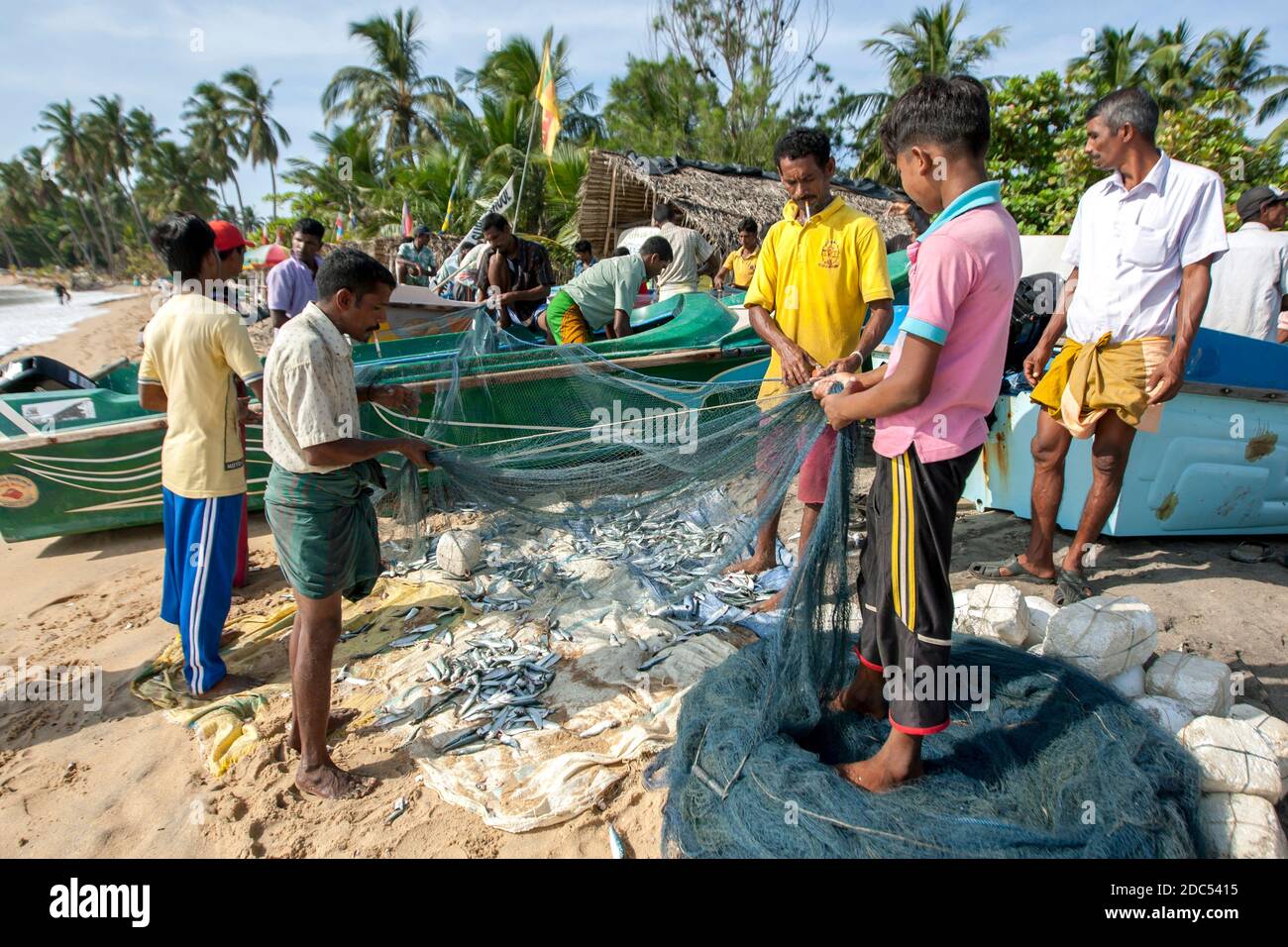 Fische sortieren -Fotos und -Bildmaterial in hoher Auflösung – Alamy