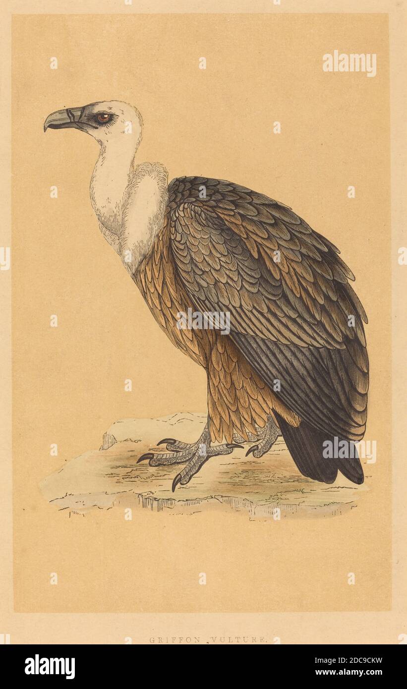 Handkolorierte lithographie -Fotos und -Bildmaterial in hoher Auflösung ...