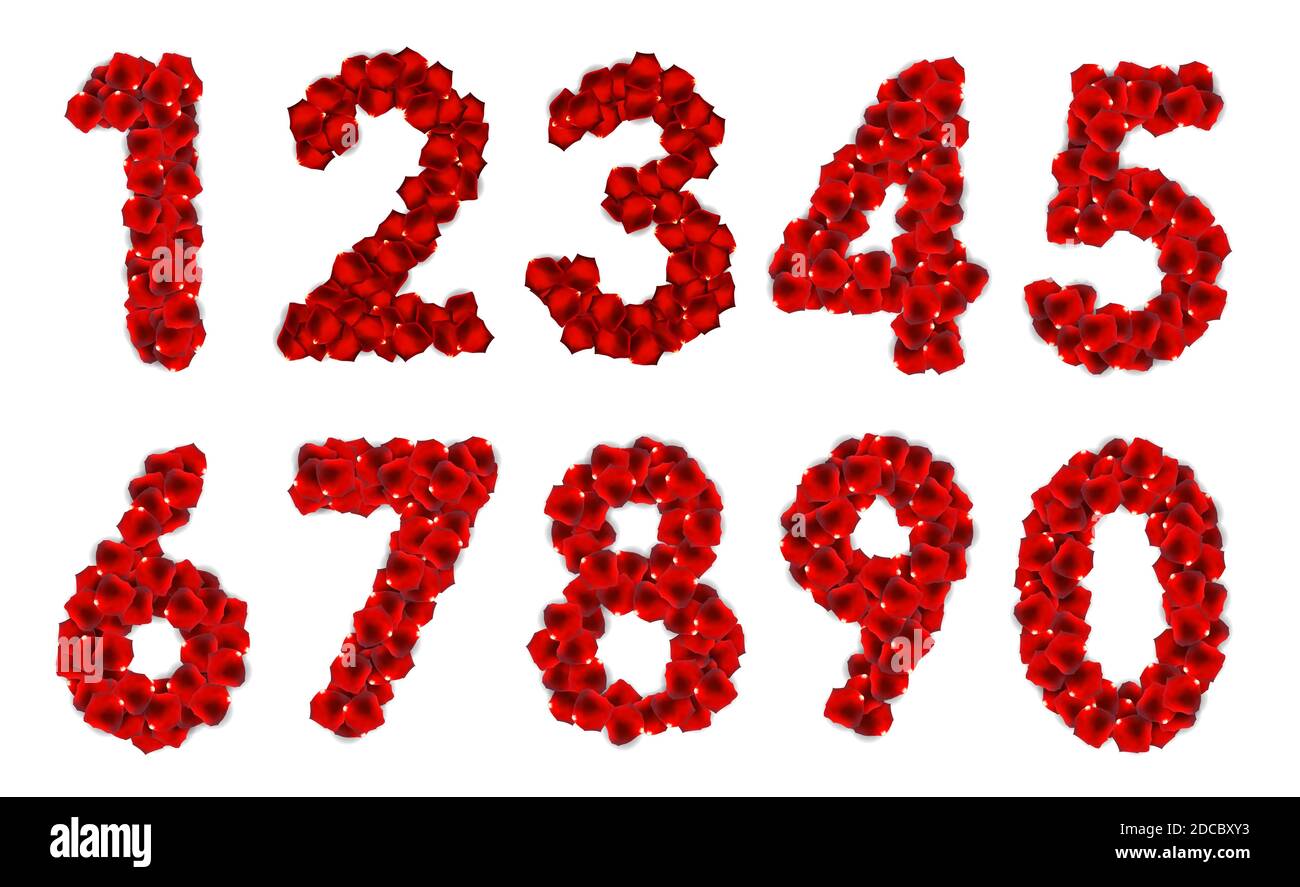 Realistische Rote Rosen Stockfotos und -bilder Kaufen - Alamy