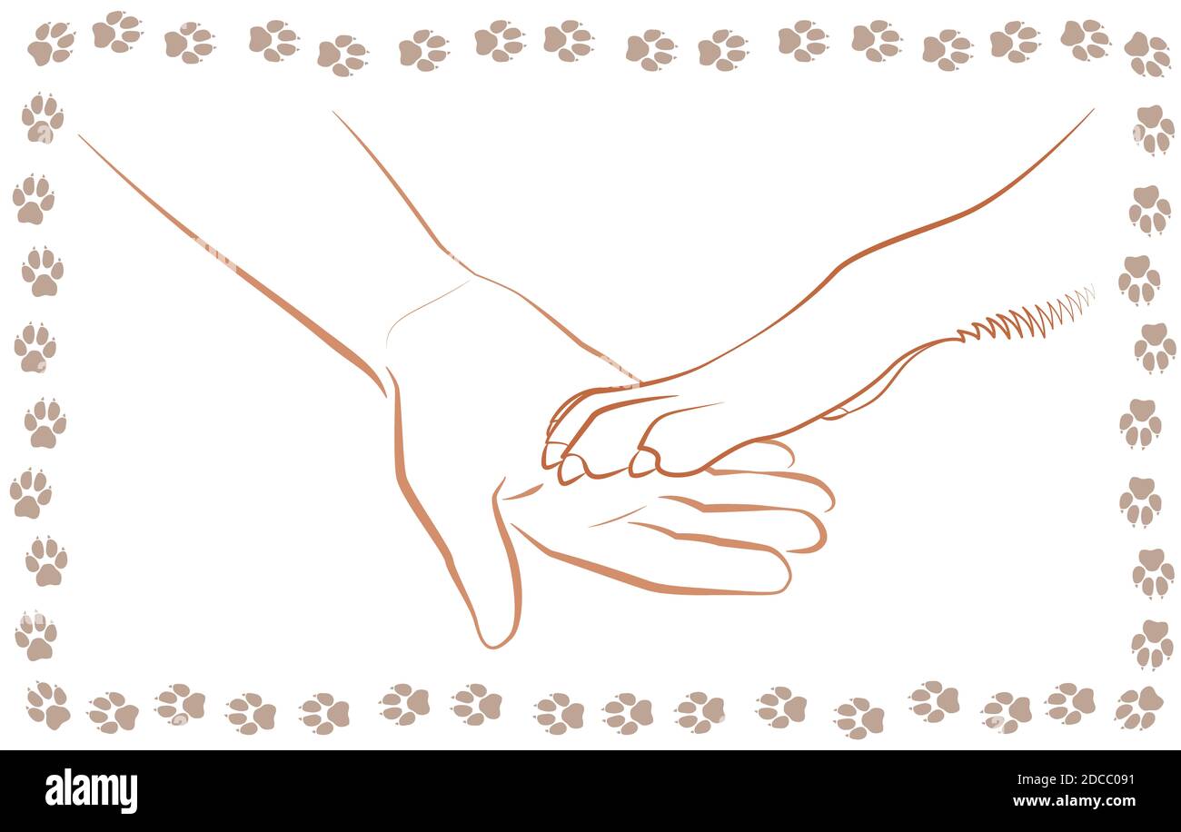 Geben Sie Pfoten auf menschliche Hand umgeben von Hunden Pfote ...