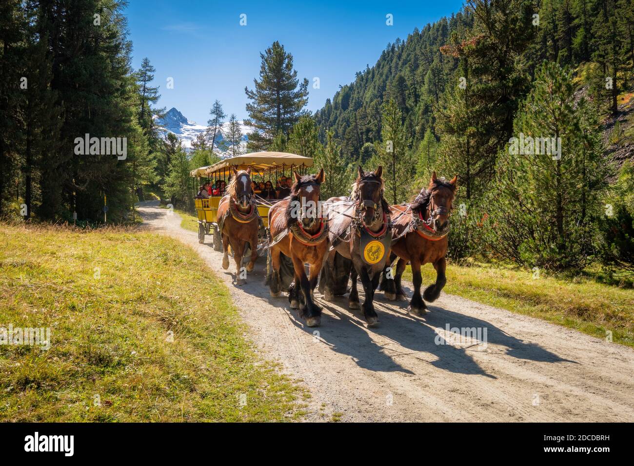 Val Roseg, Schweiz – 20. September 2019: Kutschenfahrt im Roseg-Tal ...