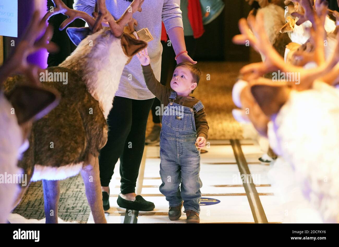 St. Louis, Usa. November 2020. Little Hudson Tabling (2) von ...