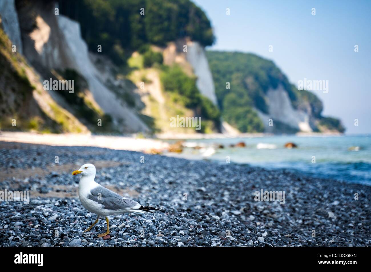Aus rugen -Fotos und -Bildmaterial in hoher Auflösung – Alamy