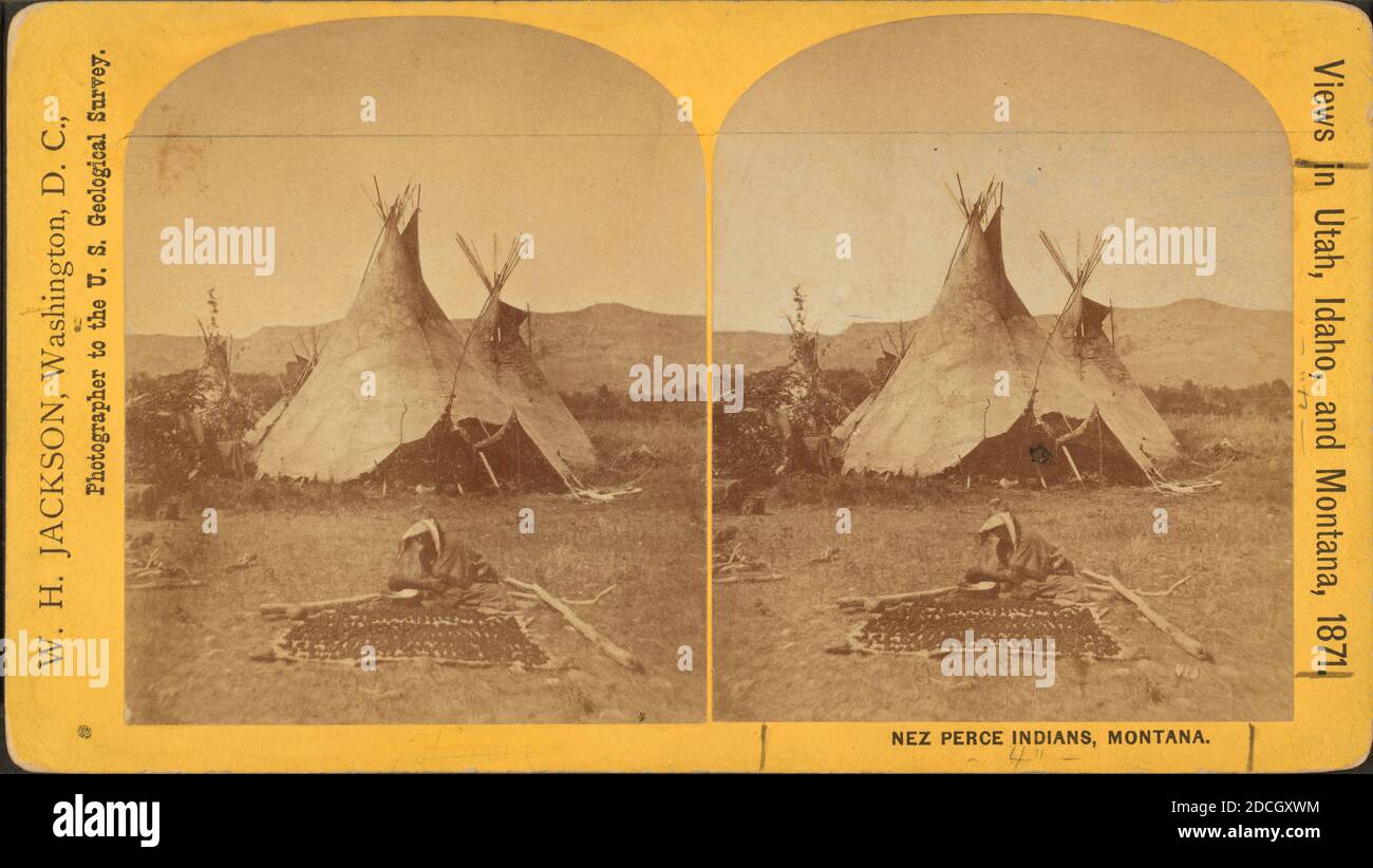 Nez perce indians -Fotos und -Bildmaterial in hoher Auflösung – Alamy