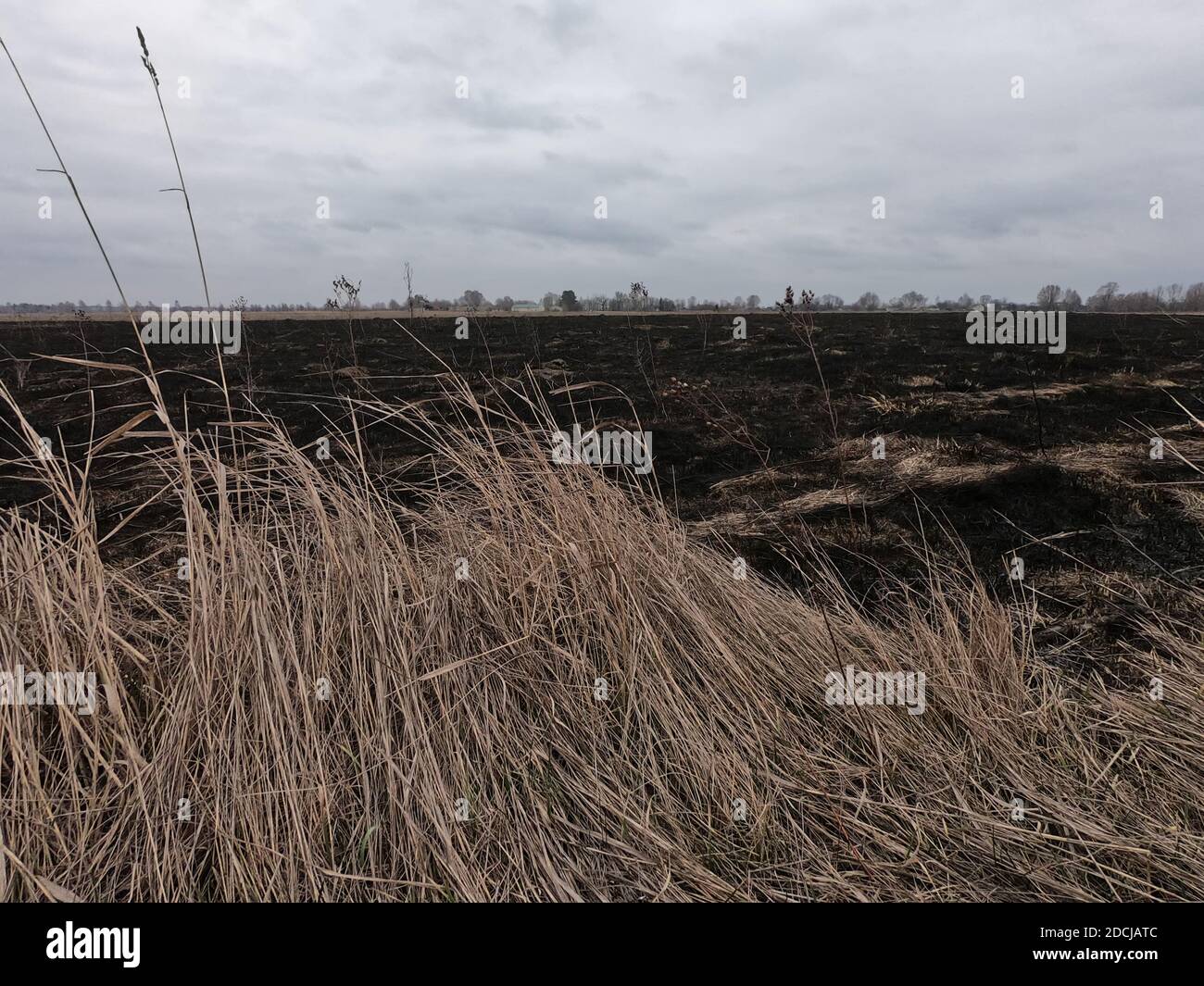 Trockene Steppe Stockfotos und -bilder Kaufen - Alamy