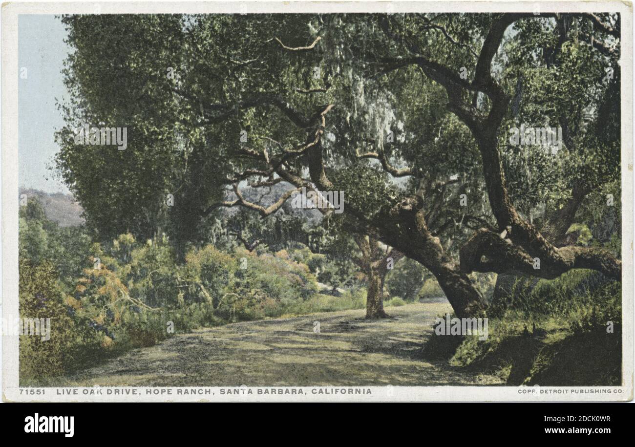 Barbara hoffe -Fotos und -Bildmaterial in hoher Auflösung – Alamy