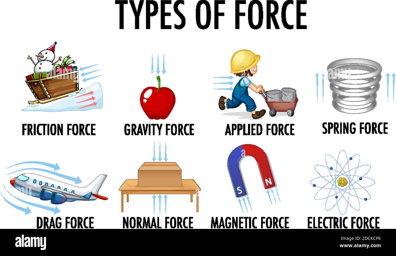 Arten von Kraft für Kinder Physik pädagogische Poster Illustration ...