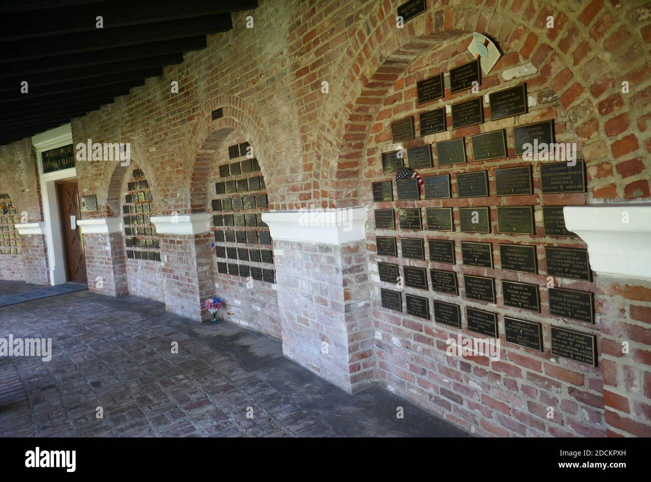 Lew gallo -Fotos und -Bildmaterial in hoher Auflösung – Alamy