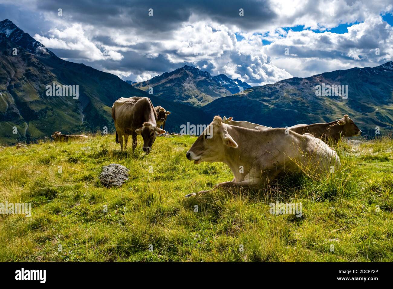 See manzina -Fotos und -Bildmaterial in hoher Auflösung – Alamy