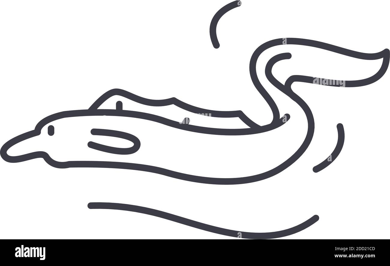 Eel-Symbol, lineare isolierte Illustration, dünne Linie Vektor, Web ...