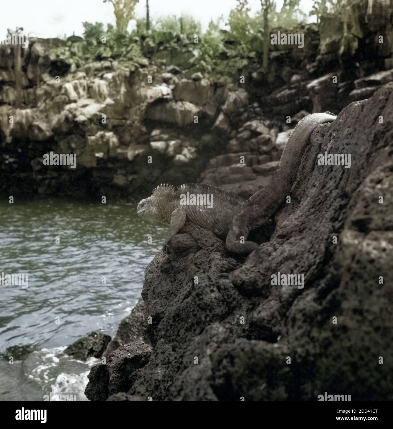 Santa fe drusenkopf -Fotos und -Bildmaterial in hoher Auflösung – Alamy