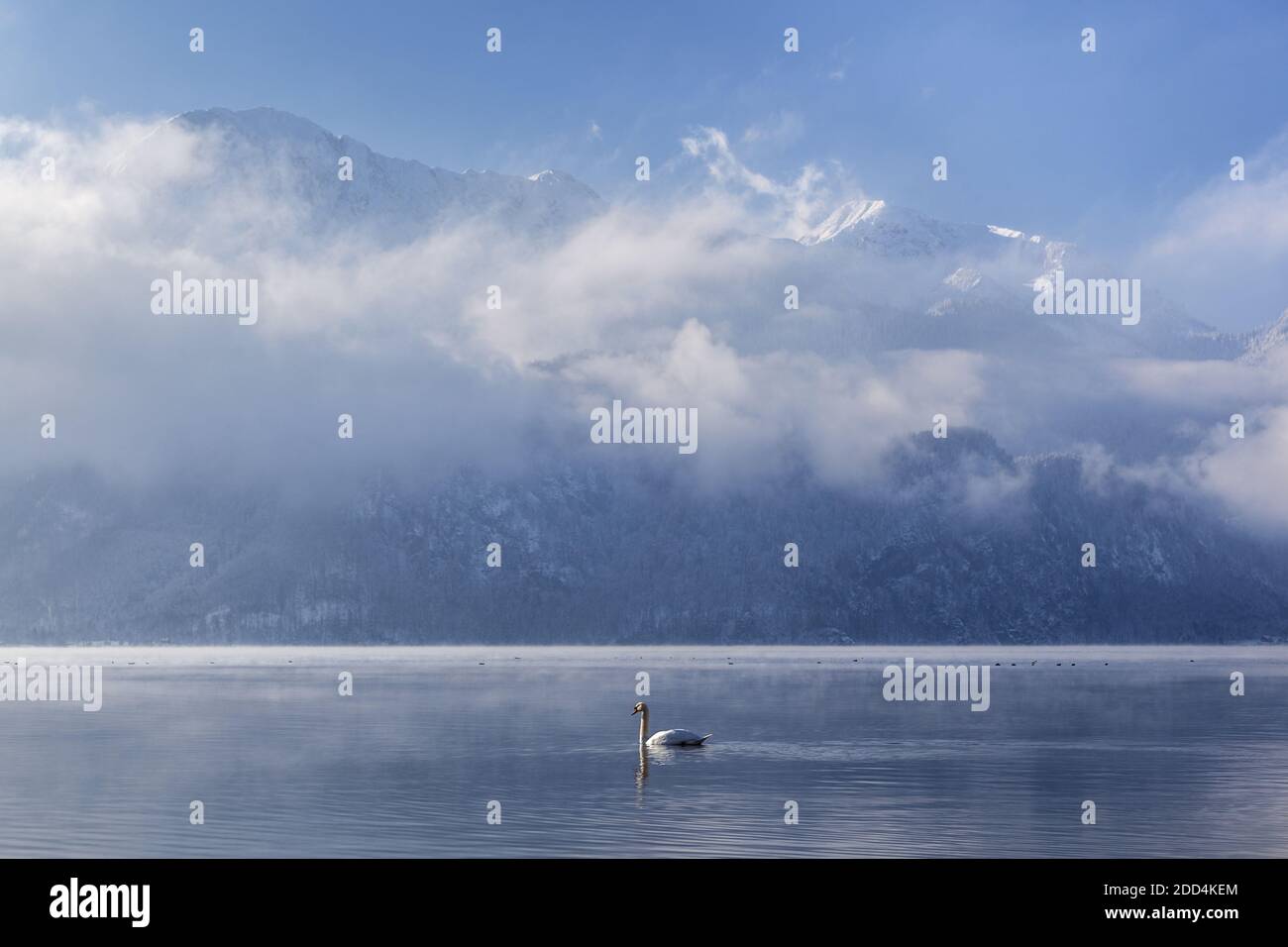 Kochelsee winter -Fotos und -Bildmaterial in hoher Auflösung – Alamy