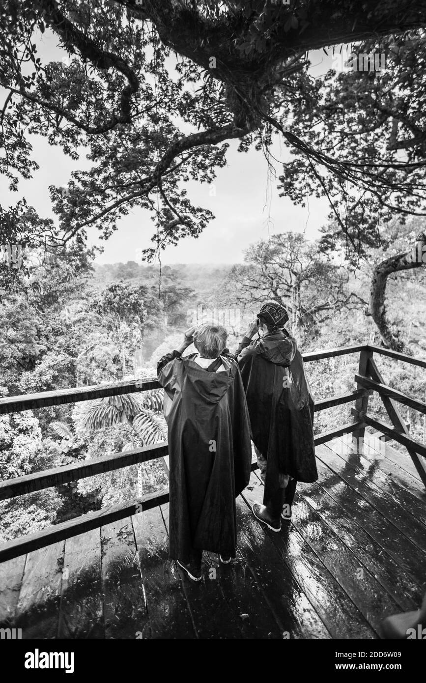 Vogelbeobachtung auf einer 43 m hohen Aussichtsplattform des Kapok Tree ...