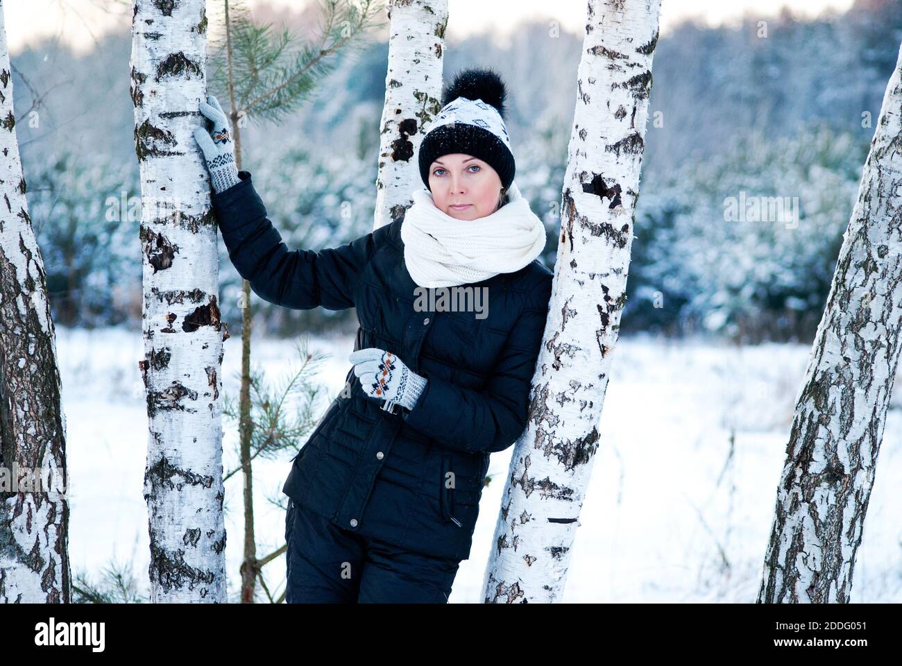 Frau birke -Fotos und -Bildmaterial in hoher Auflösung – Alamy