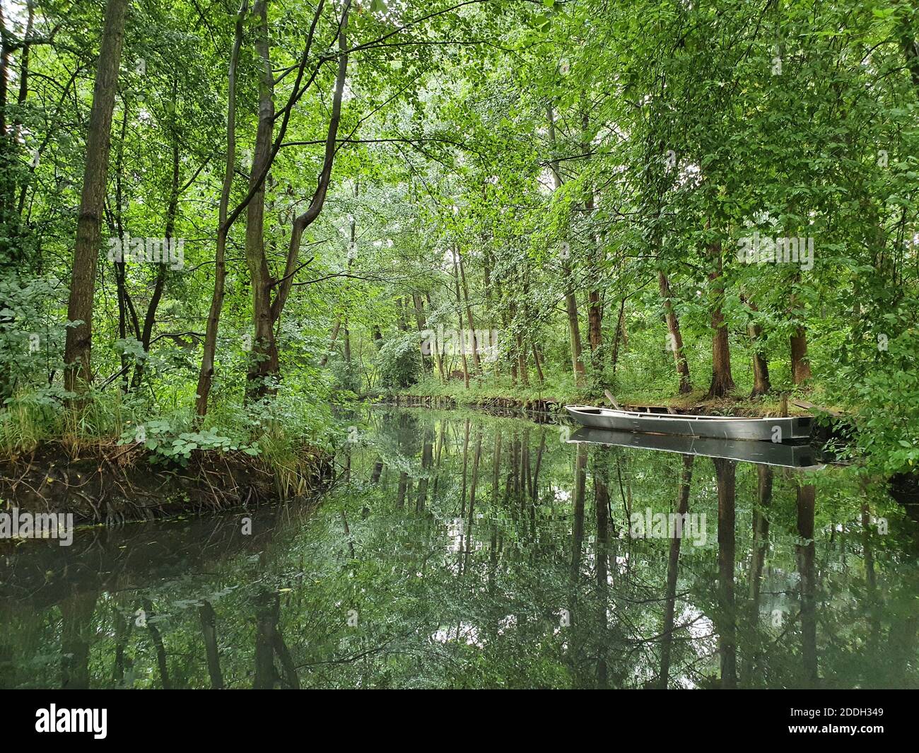 Canal in spreewald -Fotos und -Bildmaterial in hoher Auflösung – Alamy