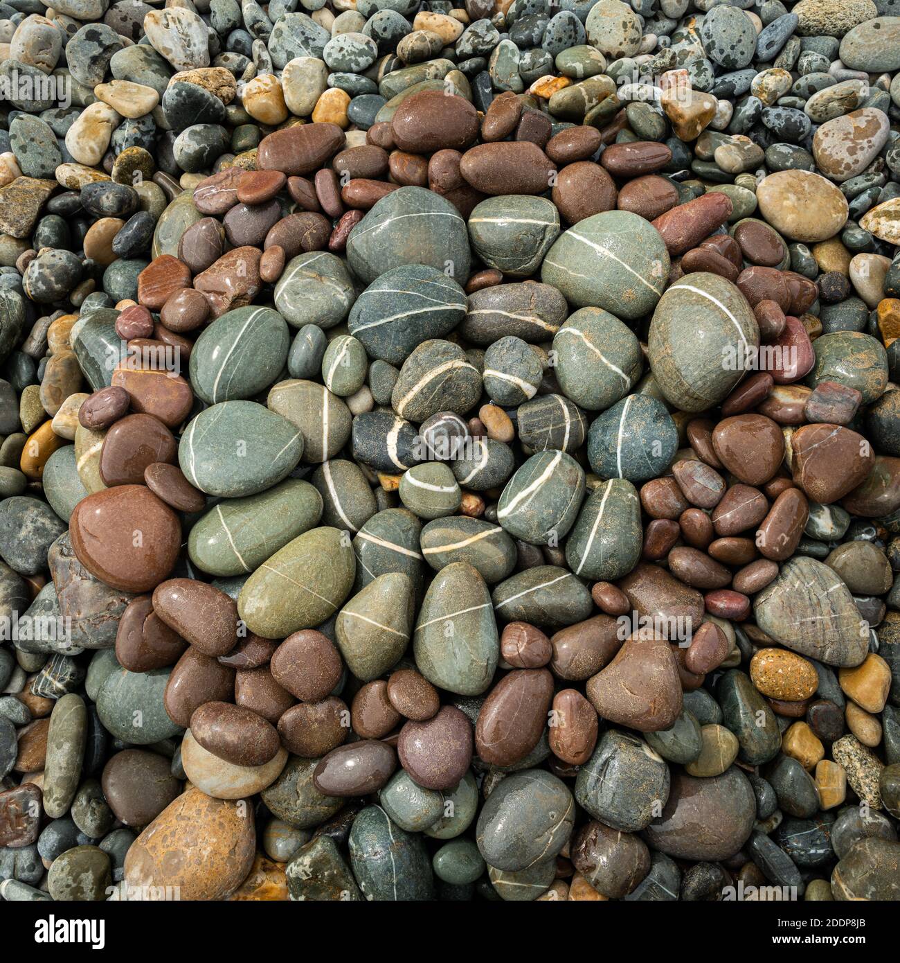 Zeichnung auf sand mit kieselsteinen -Fotos und -Bildmaterial in hoher ...