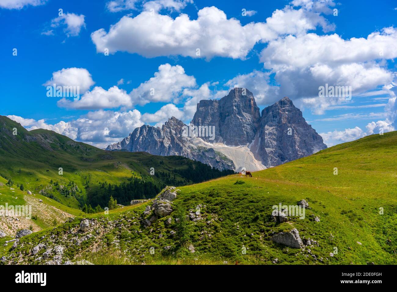 Monte pelmetto -Fotos und -Bildmaterial in hoher Auflösung – Alamy