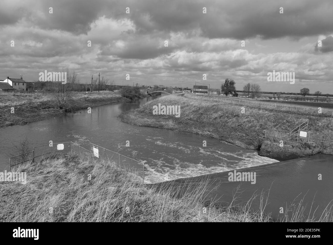 Flussrase trifft flussankolme -Fotos und -Bildmaterial in hoher ...