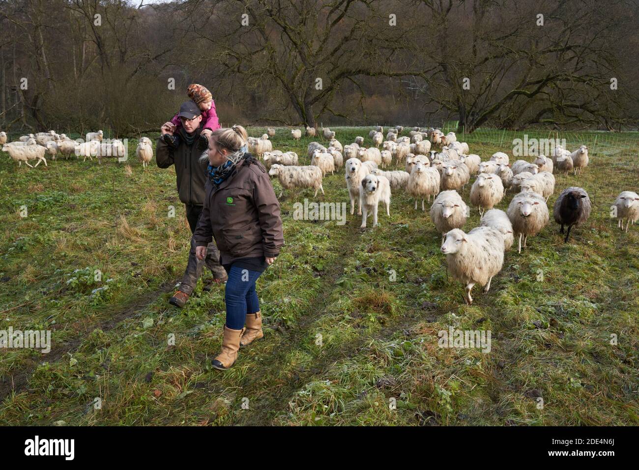 Schäferin spaziergang -Fotos und -Bildmaterial in hoher Auflösung – Alamy