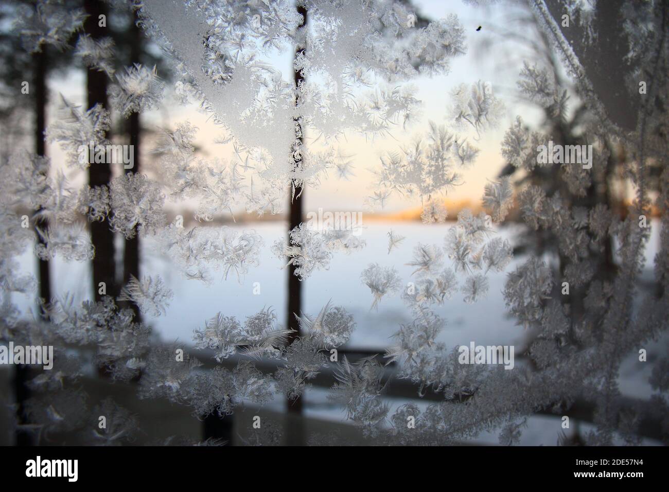 Frost blumen auf einem fenster -Fotos und -Bildmaterial in hoher ...