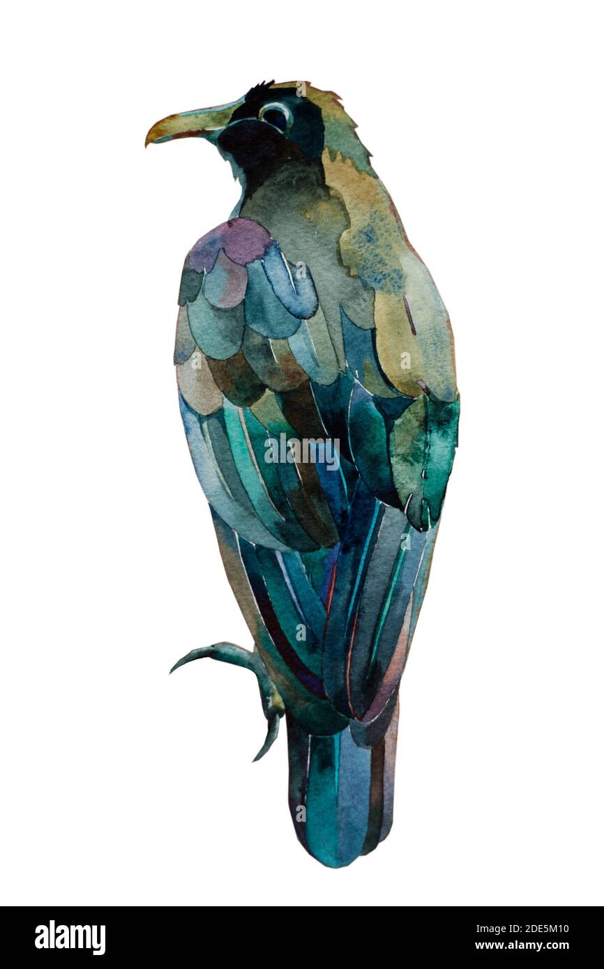 Amsel umriss Ausgeschnittene Stockfotos und -bilder - Alamy