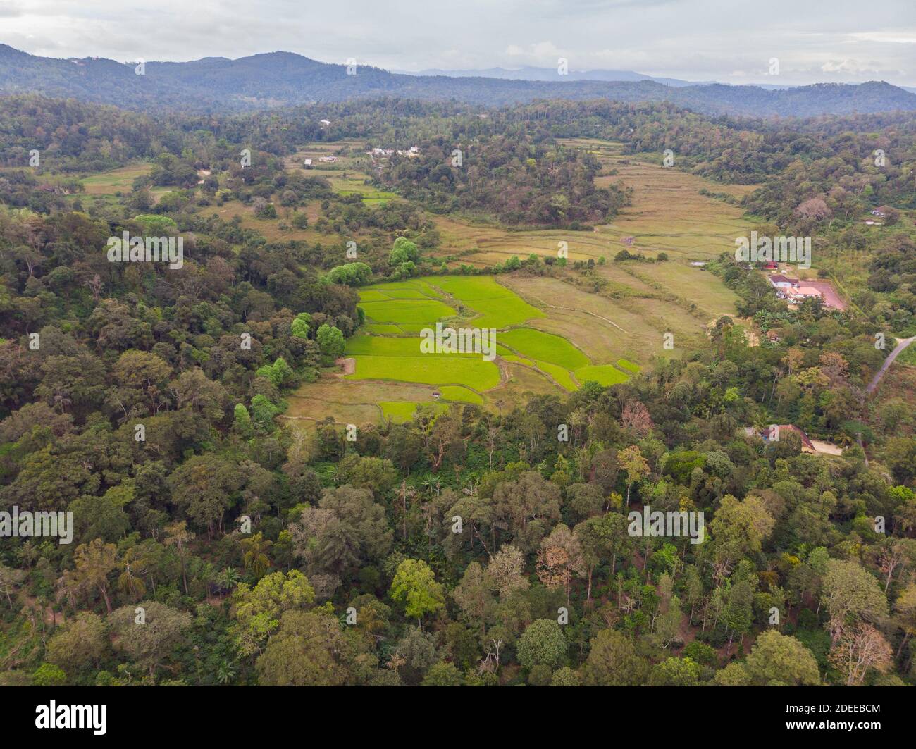 Karnataka anwesen -Fotos und -Bildmaterial in hoher Auflösung – Alamy