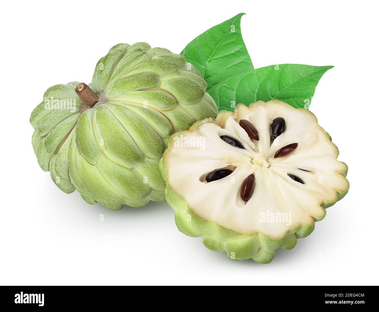 Zucker Apfel oder Pudding Apfel isoliert auf weißem Hintergrund mit ...