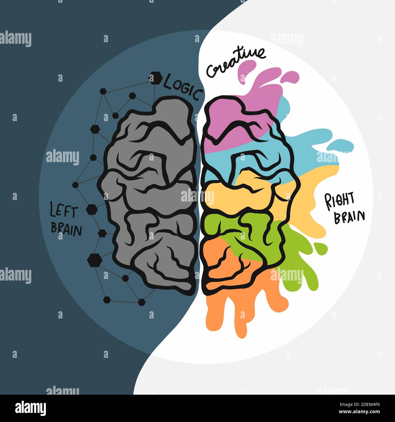 Links und rechts Gehirn Cartoon Vektor Illustration Stock-Vektorgrafik ...