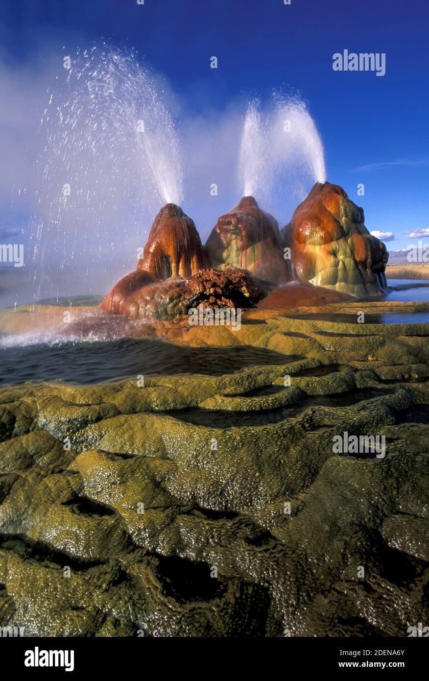 Fly ranch geysir -Fotos und -Bildmaterial in hoher Auflösung – Alamy