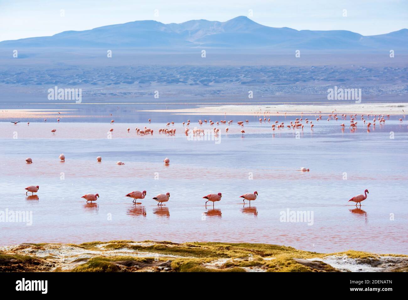 Laguna col -Fotos und -Bildmaterial in hoher Auflösung – Alamy
