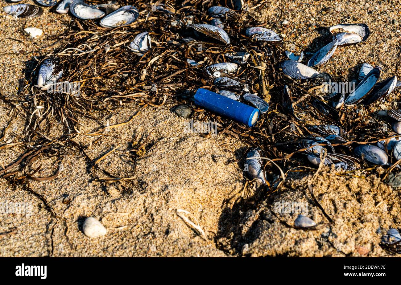 Alte gebrauchte Shotgun Shell von einem Jäger, schwimmt am Strand ...