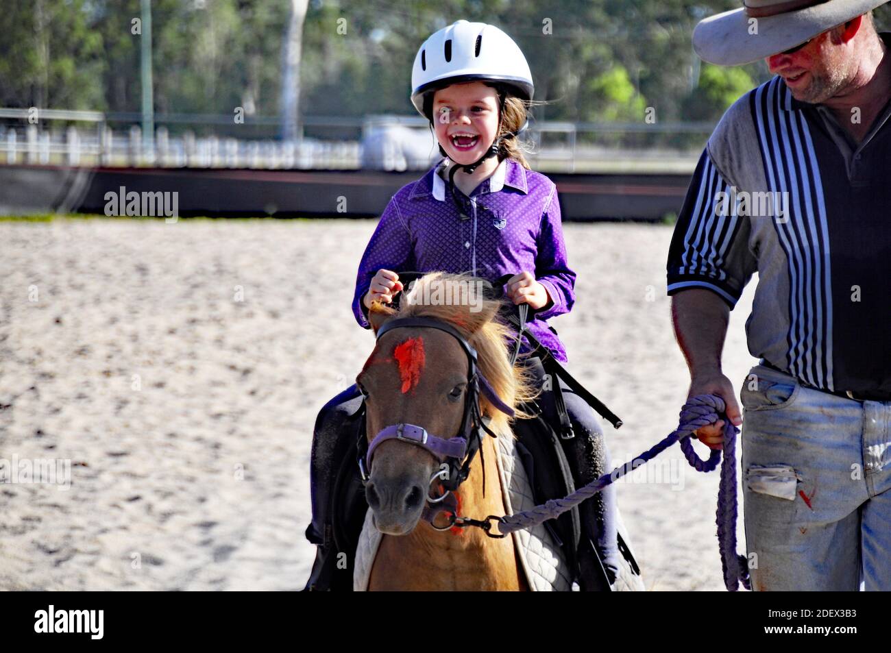 Pferde und ihre kinder -Fotos und -Bildmaterial in hoher Auflösung – Alamy