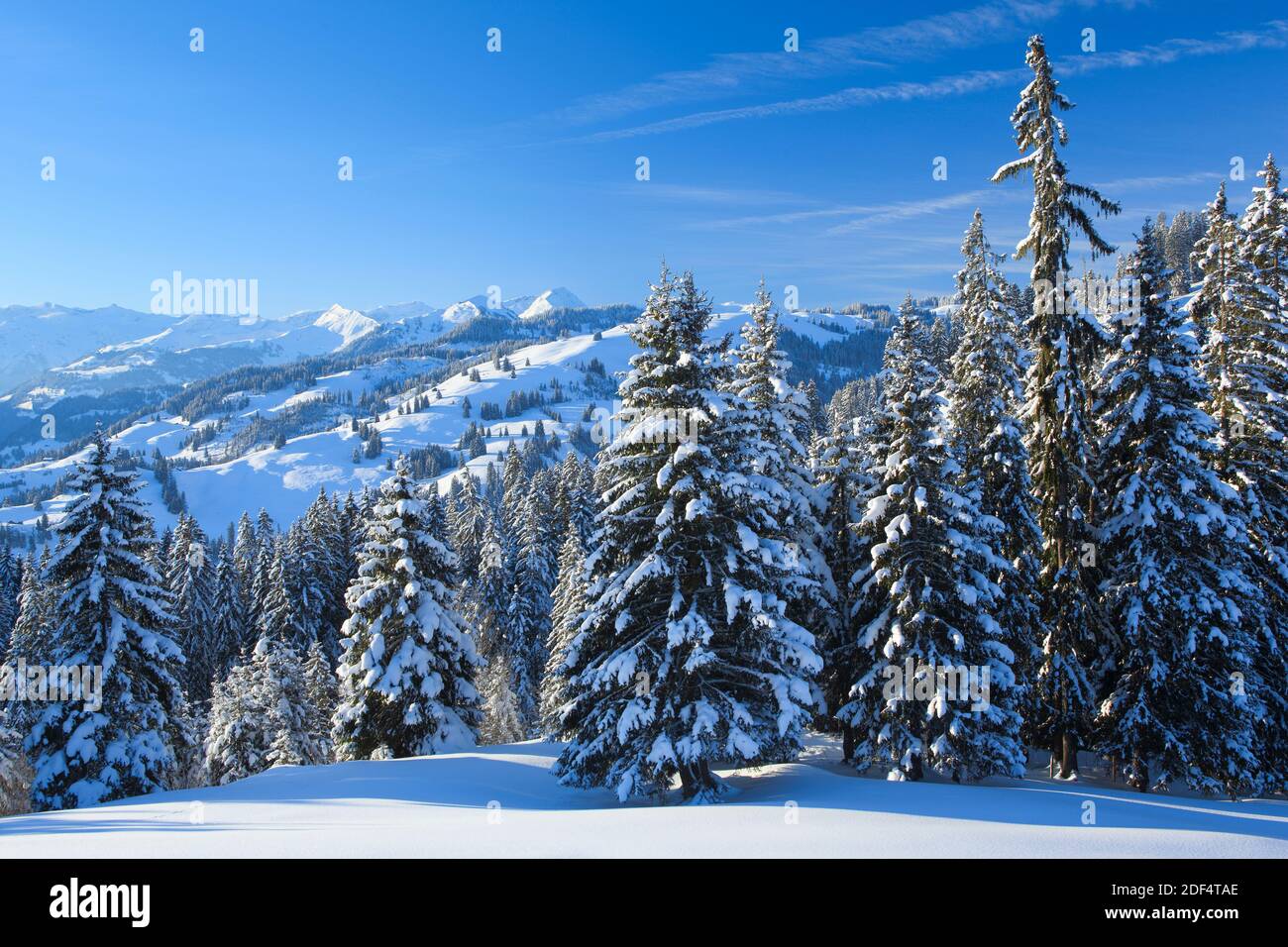 Blick von jaun pass -Fotos und -Bildmaterial in hoher Auflösung – Alamy