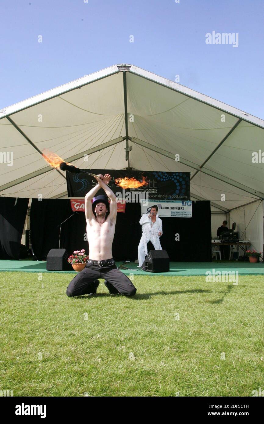 Ayr Flower Show 2014, Rozelle Park, Ayr, Ayrshire, Schottland ...